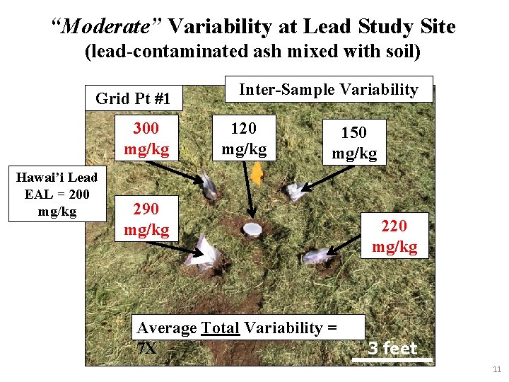 Discrete Soil Sample Reliability and the Need to