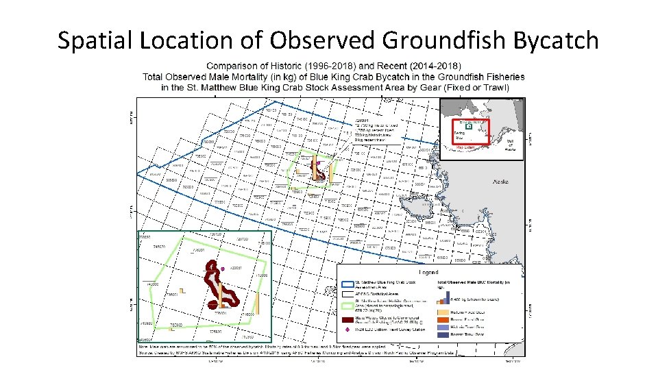 Saint Matthew Blue King Crab rebuilding progress plans