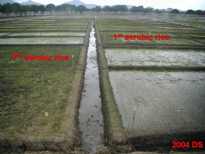 Sustainability and environmental effects Crop and Environmental Sciences