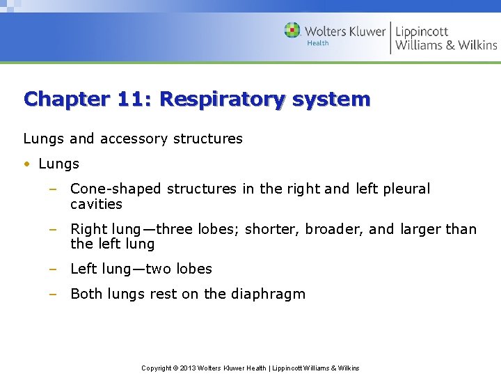 Chapter 11 Respiratory system Chapter objectives To learn