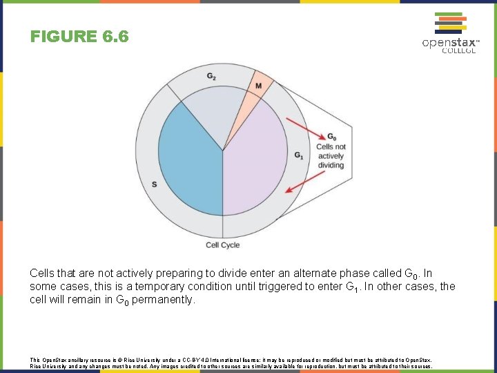 CONCEPTS OF BIOLOGY Chapter 6 REPRODUCTION AT THE