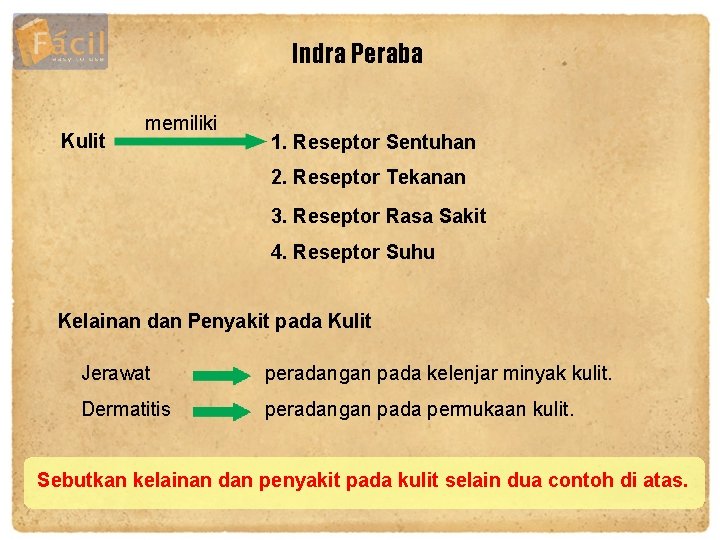 Unit 4 Sistem Indra Learning More Biology 3