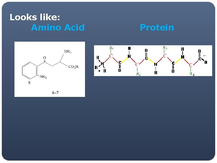 Biochemistry Vocabulary Structure what something looks like Function