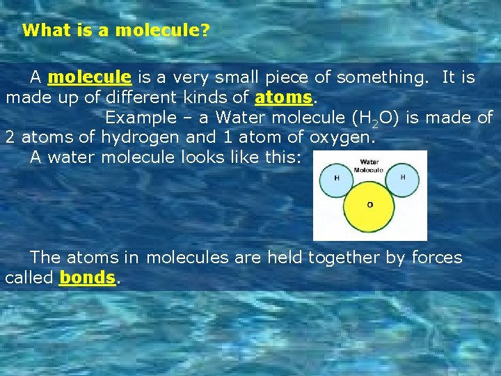 Biochemistry Vocabulary Structure what something looks like Function
