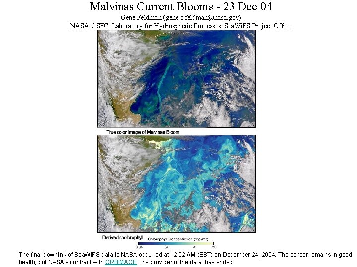 Malvinas Current Blooms 23 Dec 04 Gene Feldman
