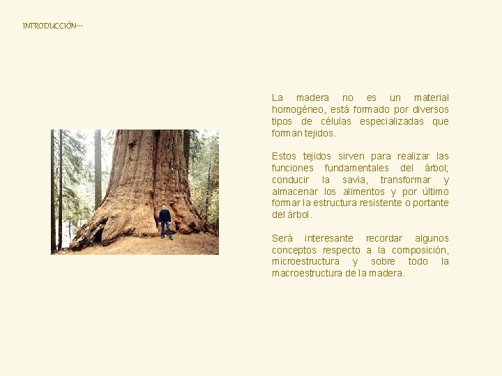 MADERA INTRODUCCION COMPOSICIN PROPIEDADES FSICAS PROCESO DE OBTENCIN