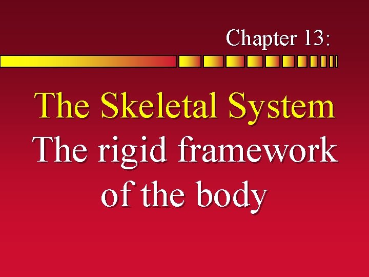 Chapter 13 The Skeletal System The rigid framework