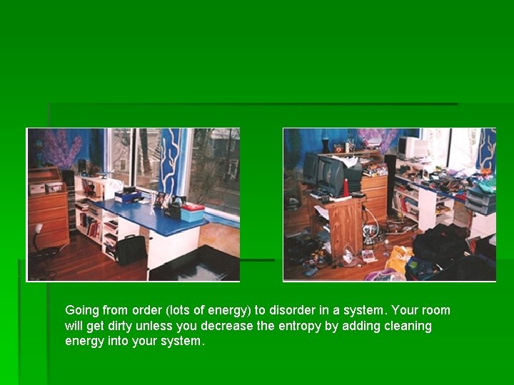 Photosynthesis Entropy Lots of energy in a system