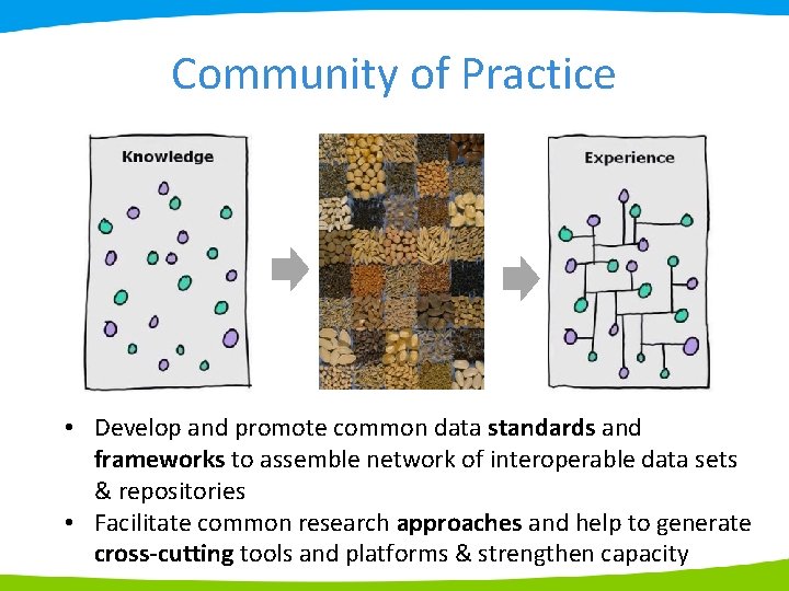Diversity Seek Div Seek Ruth Bastow Global Plant