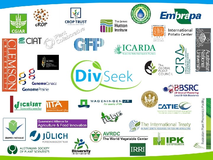 Diversity Seek Div Seek Ruth Bastow Global Plant