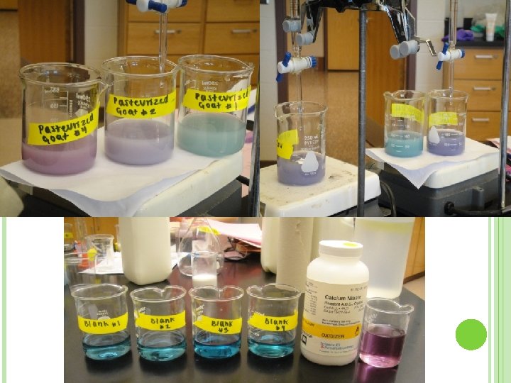 COMPARING THE CALCIUM CONTENT OF VARIOUS TYPES OF