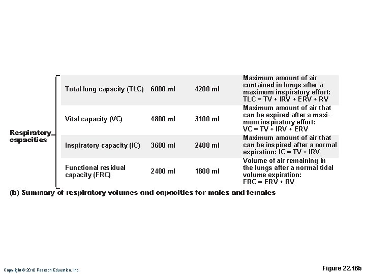 Power Point Lecture Slides prepared by Janice Meeking