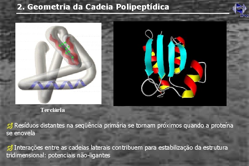 Anlise Conformacional de Protenas Fsica na Biologia Por