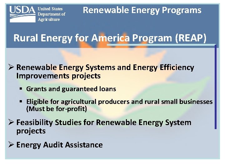United States Department of Agriculture Renewable Energy Programs