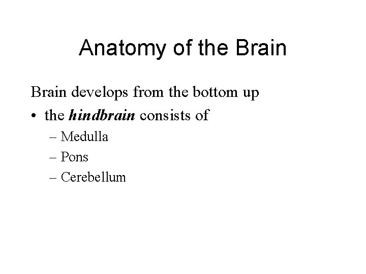 Review Central Nervous System the CNS consists of