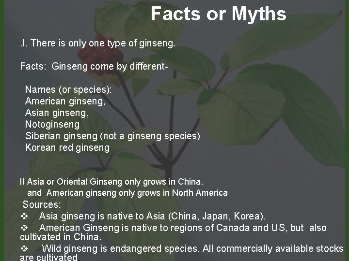 Facts and myths about Ontario ginseng By Edmund