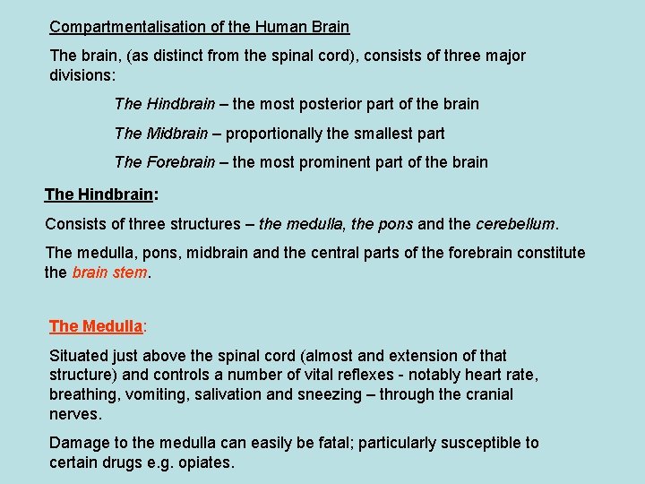 NEUROPSYCHOLOGY Brain Structure Function and Cerebral Dominance Dr