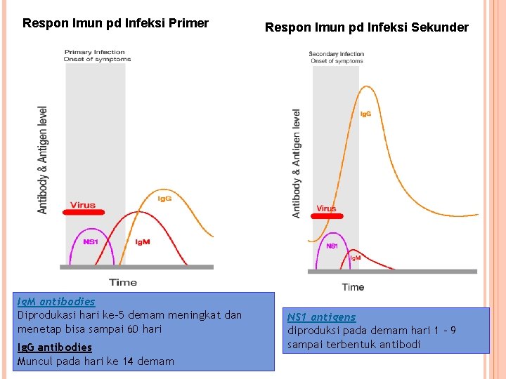 Peran Pemeriksaan Laboratorium dalam Diagnosa Penyakit Demam Berdarah