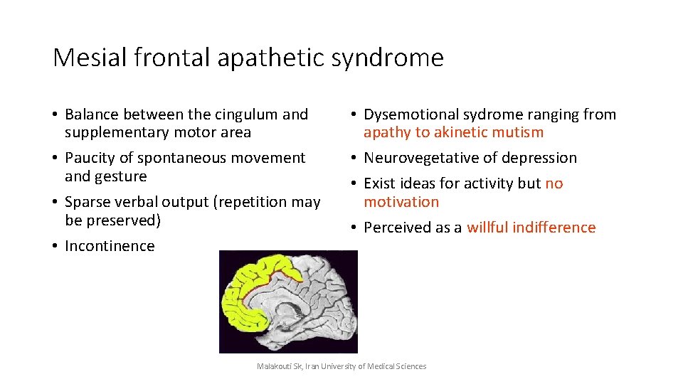 Frontal lobe examination Malakouti SK MD Iran University
