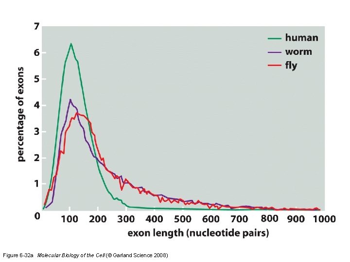 Figure 6 22 a Molecular Biology of the