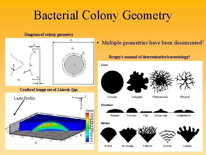Quantification of morphology of bacterial colonies using laser
