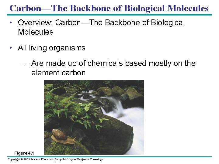 Chapter 4 Carbon and the Molecular Diversity of