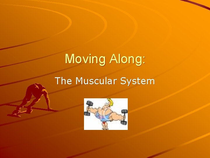 Moving Along The Muscular System Parts of the