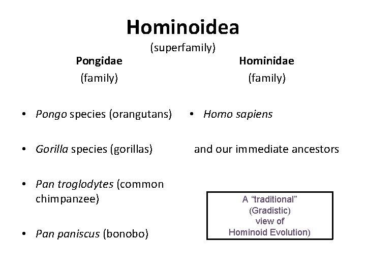 How We Study Hominin Evolution Biological Anthropology Review