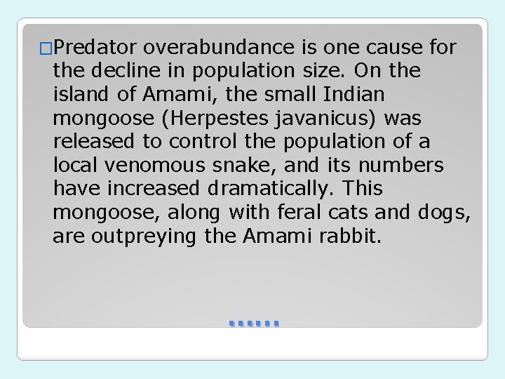The Amami rabbit also known as the Ryukyu