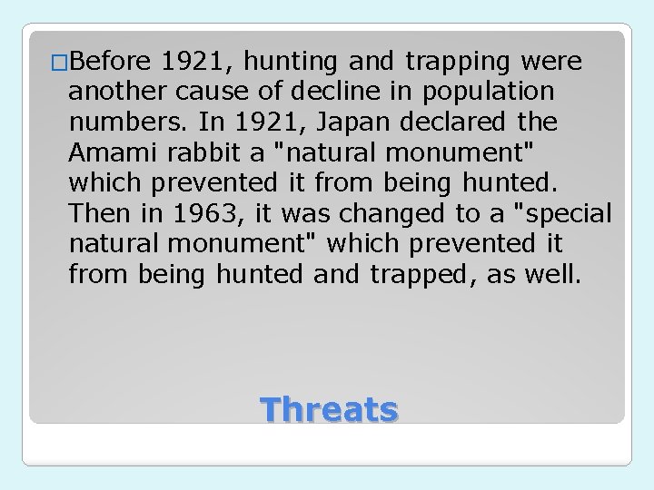 The Amami rabbit also known as the Ryukyu