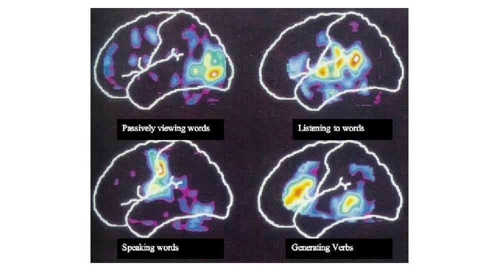 Language and the Mind By Janaeh Bona IntroductionSHOULD