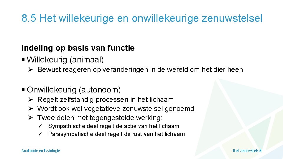 Module Anatomie en fysiologie Hoofdstuk 8 Het zenuwstelsel