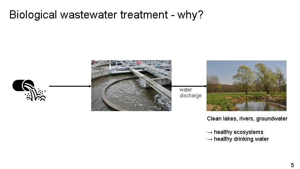 Improved protein hydrolysis monitoring for biological wastewater treatment
