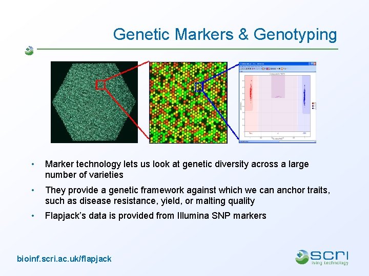 bioinf scri ac ukflapjack Introduction Barley genotyping Visualizing