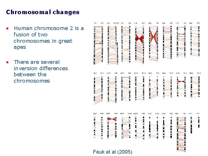 Human origins and evolution Gil Mc Vean Department