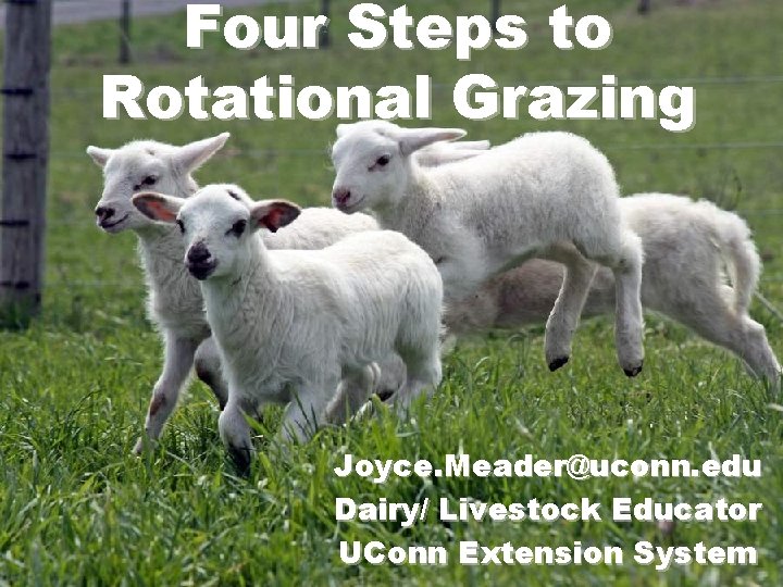 Four Steps to Rotational Grazing Joyce Meaderuconn edu