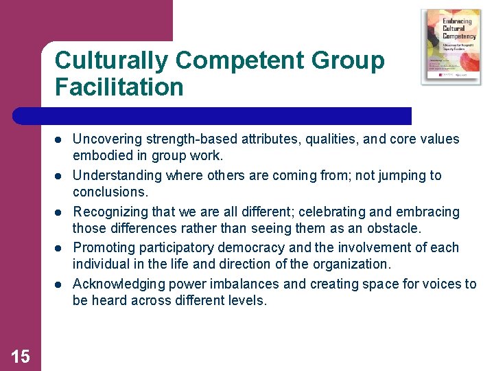 Embracing Cultural Competency A Roadmap for Nonprofit Capacity