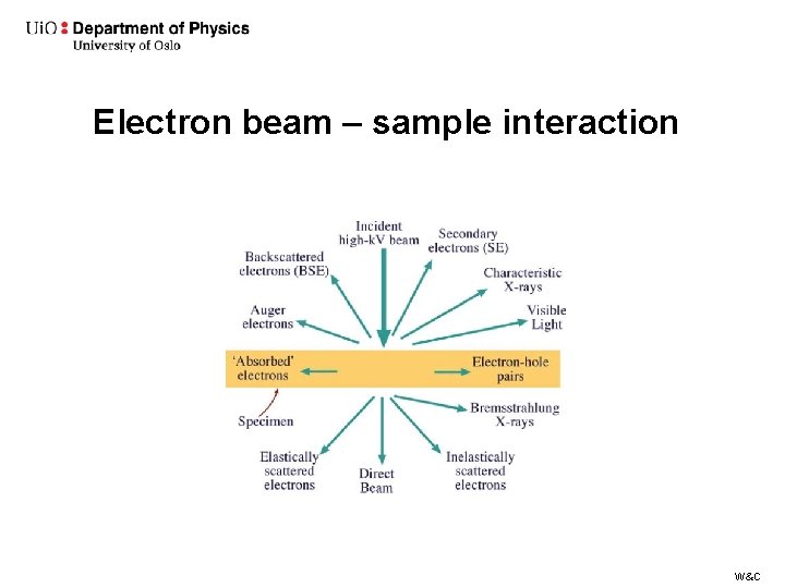 MENA 3100 Spectroscopy in the TEM and SEM