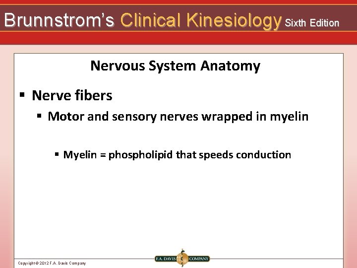 Brunnstroms Clinical Kinesiology Sixth Edition Introduction Human motion