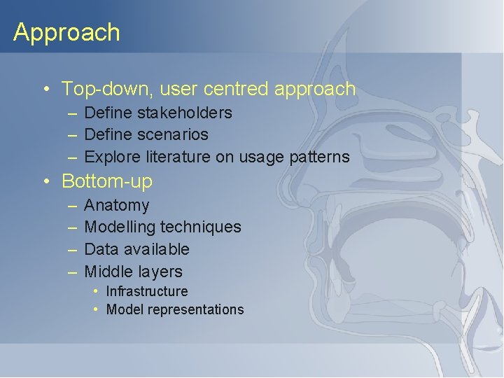 3 D Articulatory Speech Synthesis Towards an Extensible
