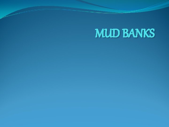 MUD BANKS INTRODUCTION DEFINITION The calm turbid region
