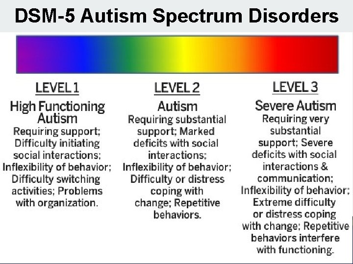 Autism Exploring the Possibilities 10 th September 2019