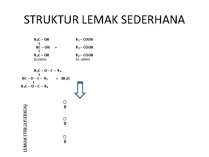 LIPIDA LIPIDA LIPOID LEMAK SENYAWA ORGANIK ESTER TIDAK