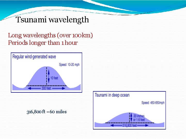 TSUNAMI The devastating impact of seismic sea waves