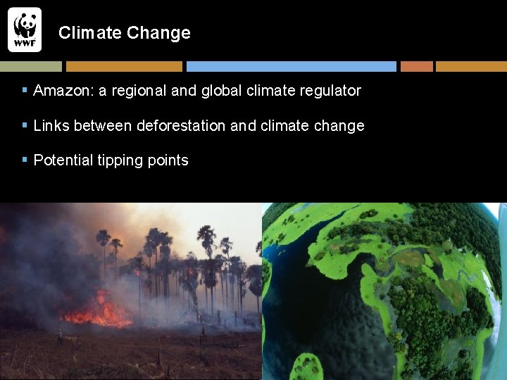 The Amazon Network Initiative Conserving the Legacy of