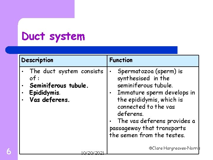 Reproductive System ACCESS H E Human Biology 1