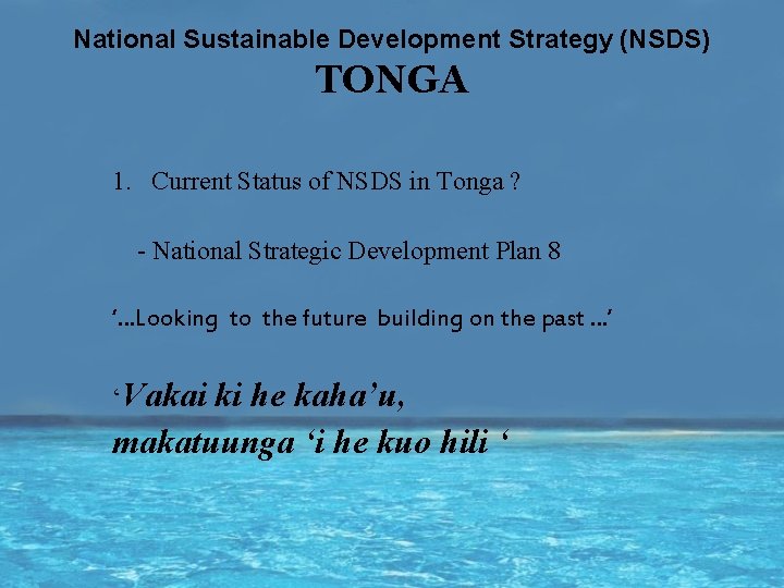 Workshop on National Sustainable Development Strategies NSDS New