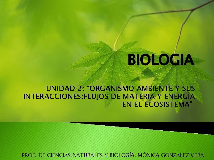 BIOLOGIA UNIDAD 2 ORGANISMO AMBIENTE Y SUS INTERACCIONES