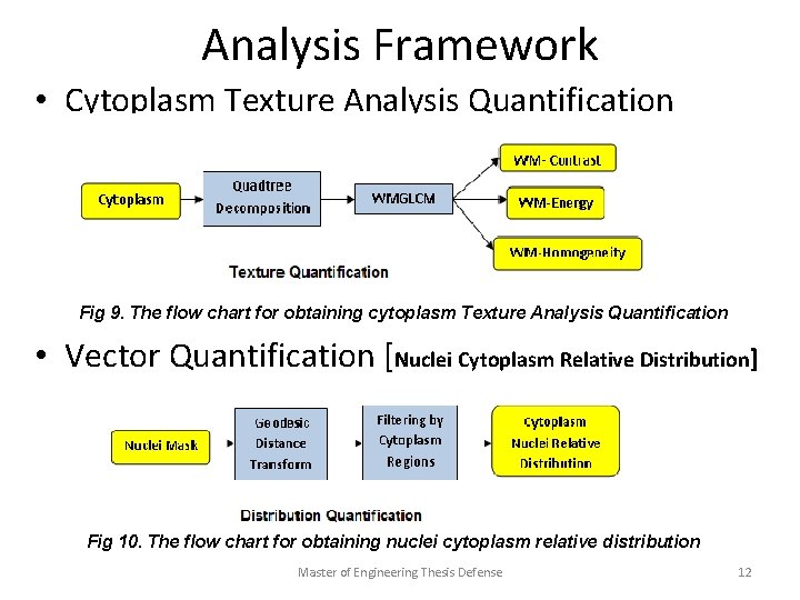 Cellular Pattern Quantification and Automatic Benchmarking Data set