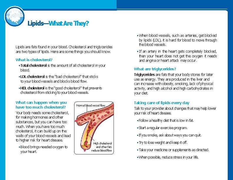 LipidsWhat Are They Lipids are fats found in